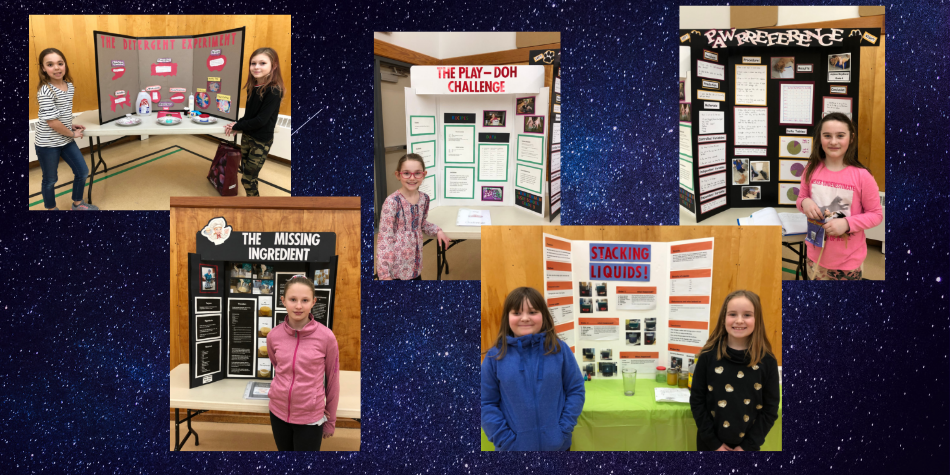 Science Fair - Busby School